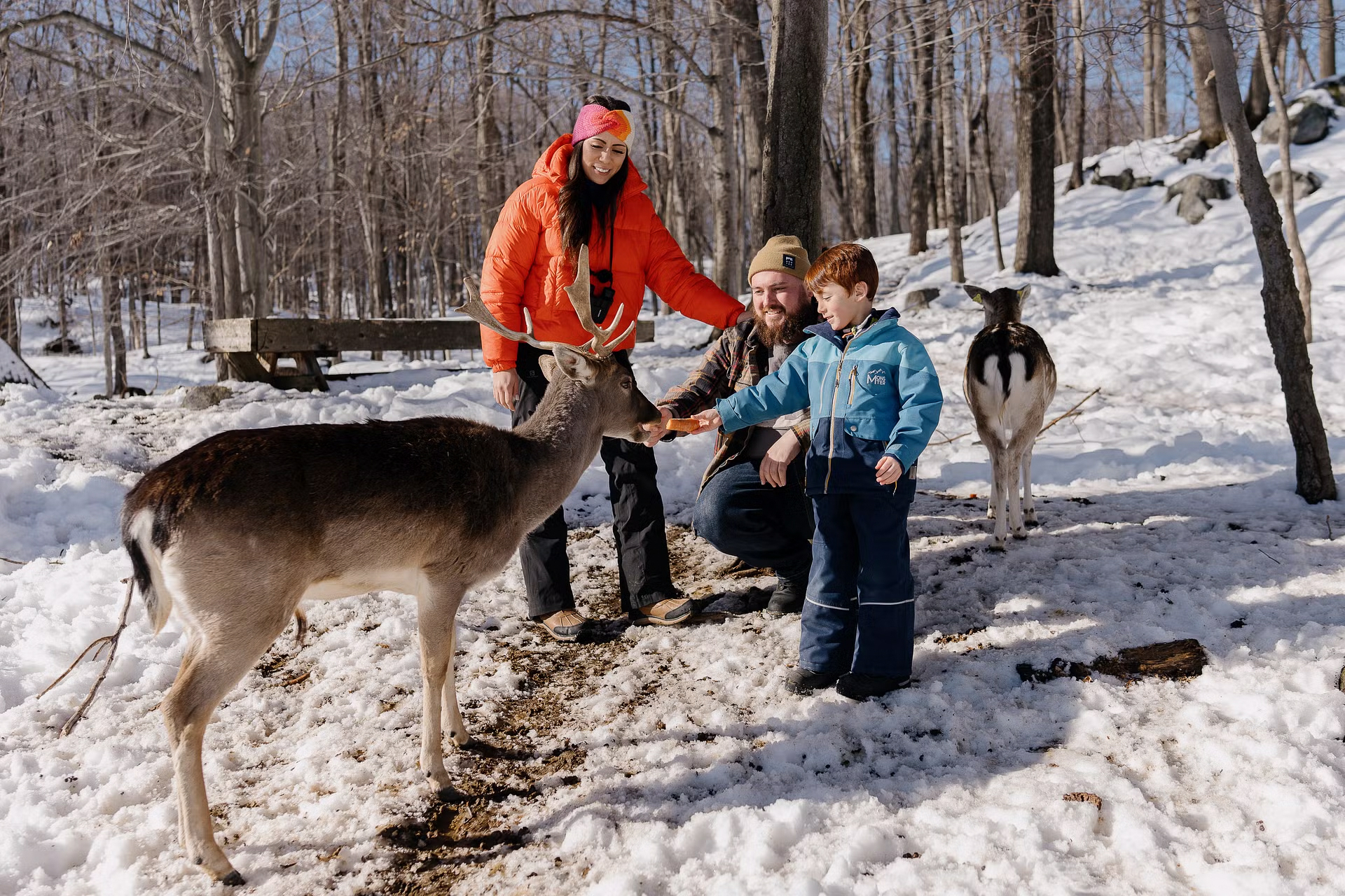 Parc Omega